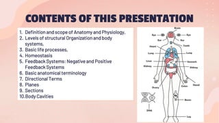 Introduction of Human Anatomy and Physiology.pdf