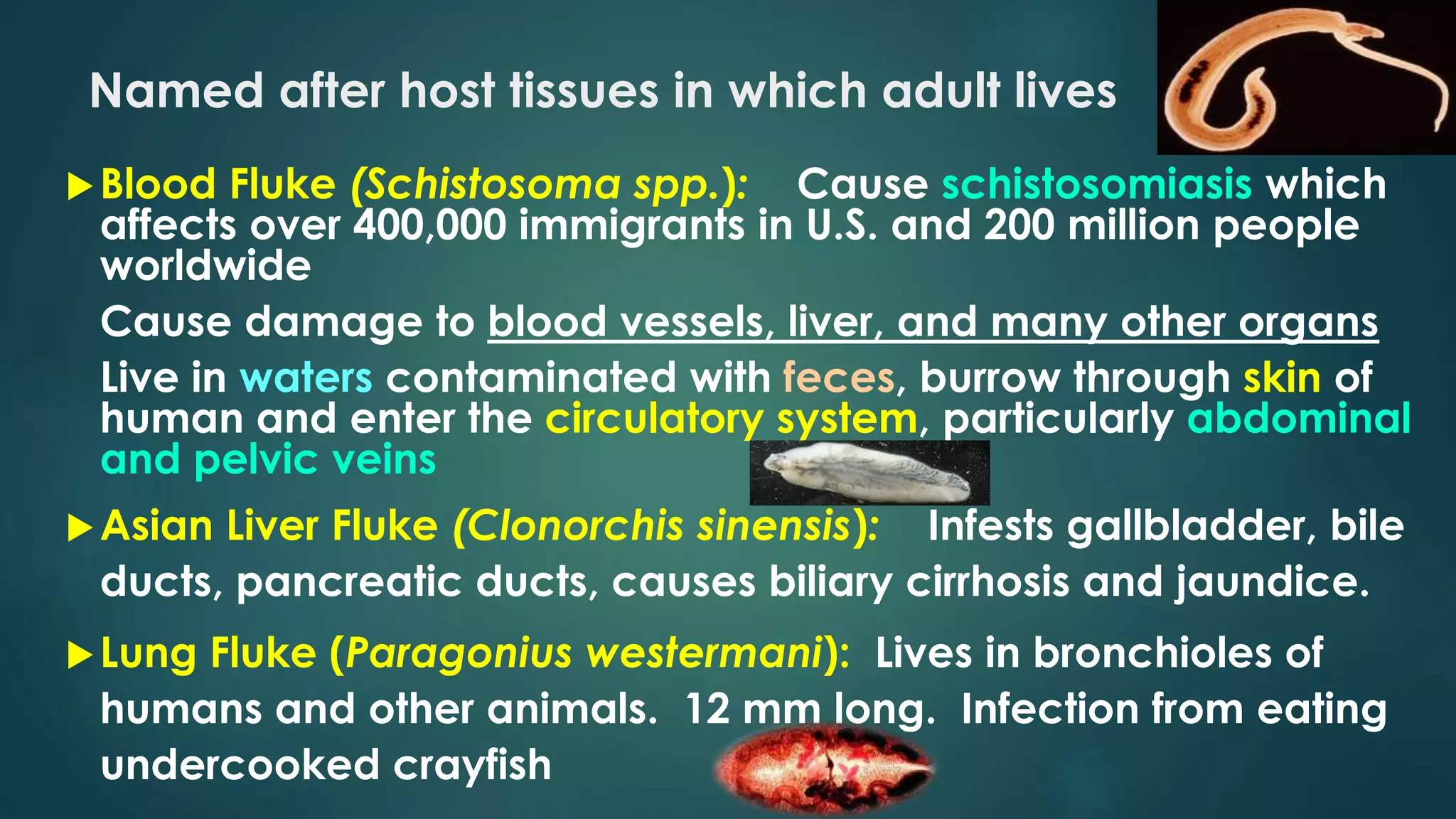 Introduction of helminthology | PPTX