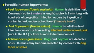 Introduction of helminthology | PPTX
