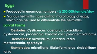 Introduction of helminthology | PPTX