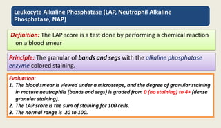 Introduction of Hematol.Malignancy .ppt