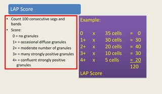 Introduction of Hematol.Malignancy .ppt