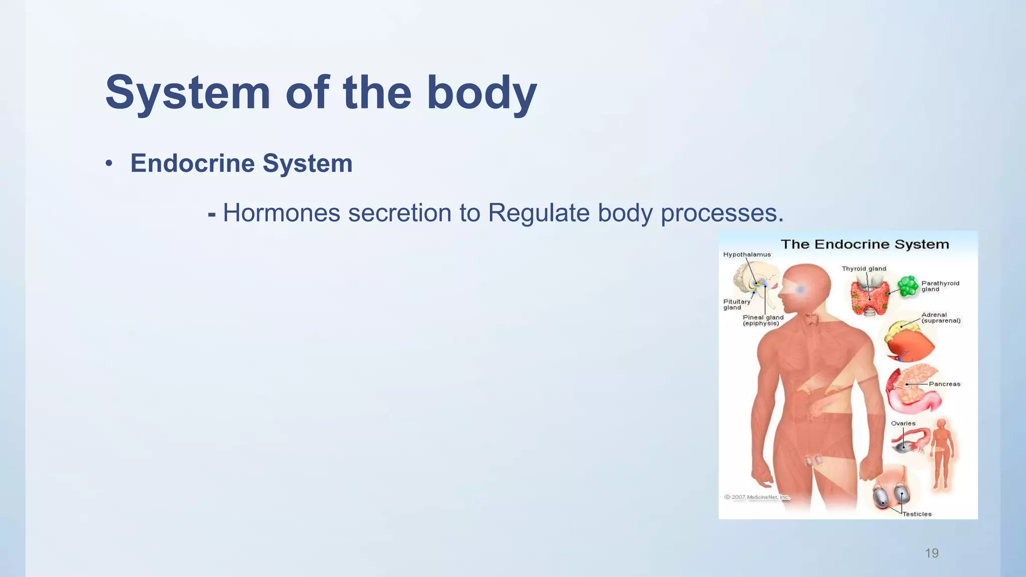 Introduction of human body | PPT