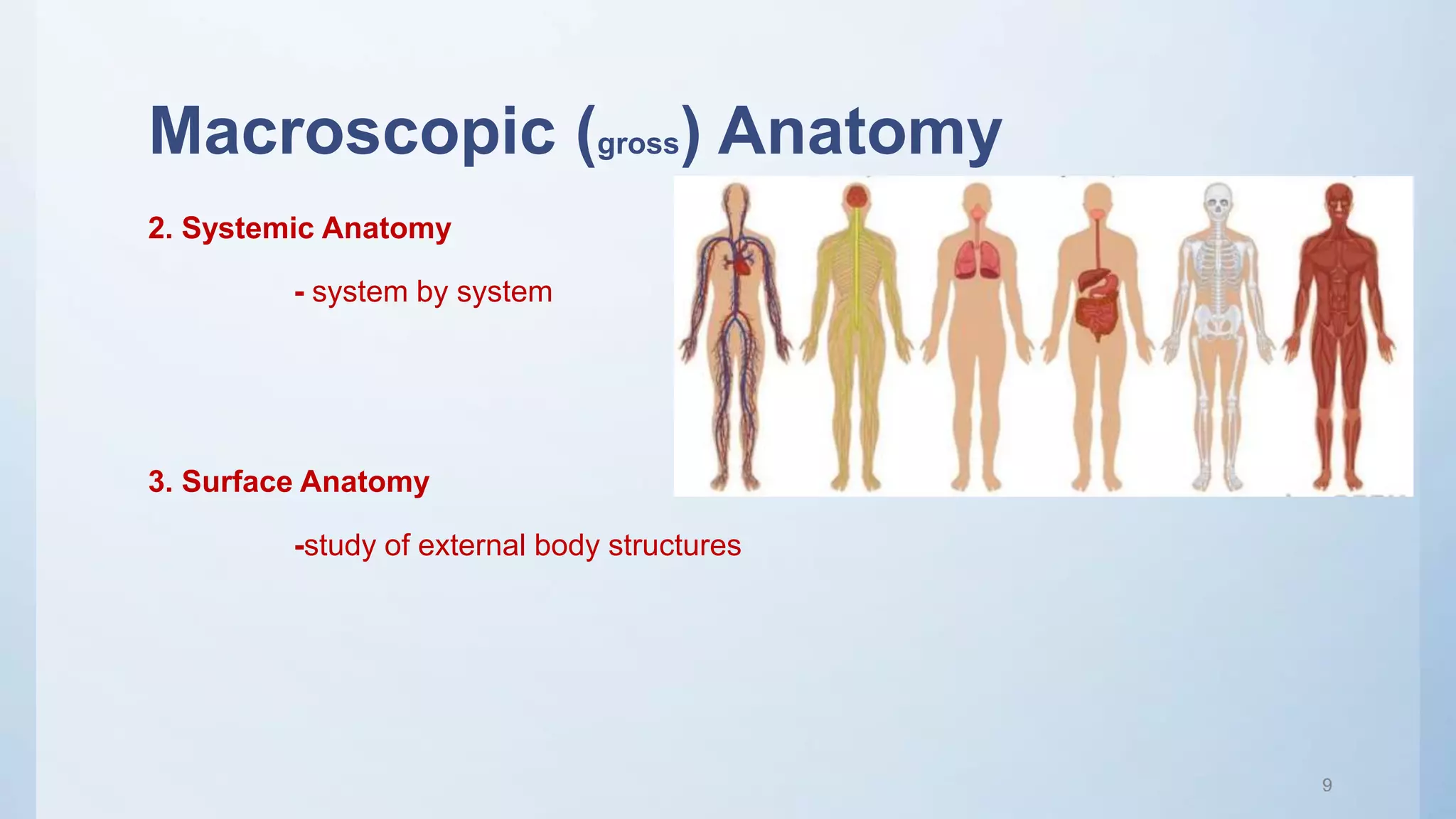 Introduction of human body | PPT
