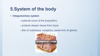Introduction of human body | PPTX