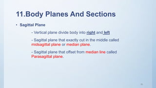 Introduction of human body | PPTX