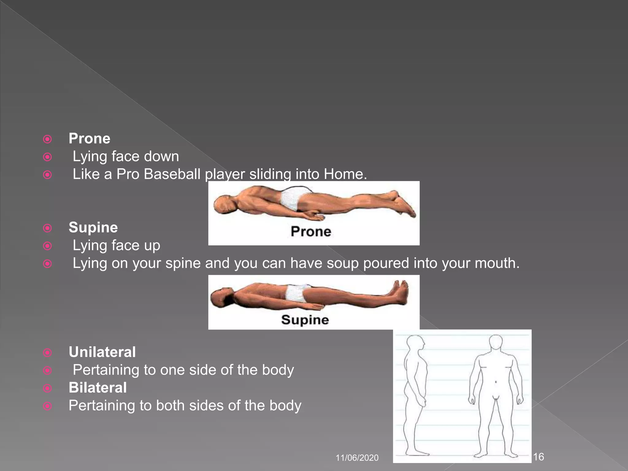 Introduction of human anatomy | PPTX