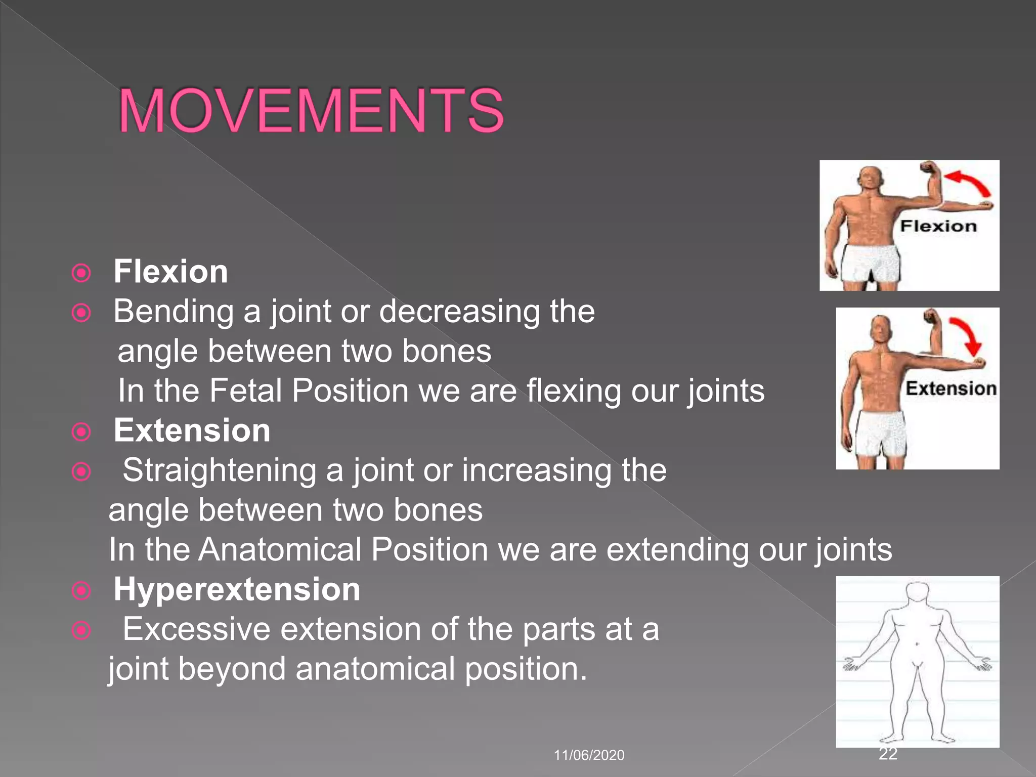 Introduction of human anatomy | PPTX