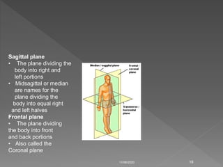 Introduction of human anatomy | PPTX