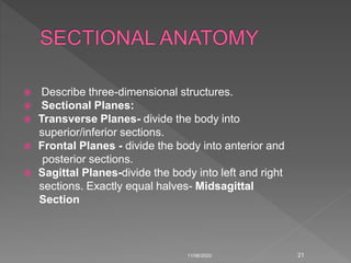 Introduction of human anatomy | PPTX