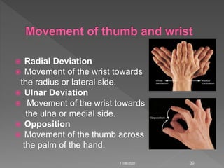Introduction of human anatomy | PPTX