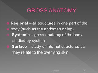 Introduction of human anatomy | PPTX