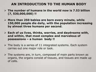 Introduction of Human Anatony and Physiology.pptx