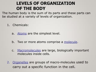 Introduction of Human Anatony and Physiology.pptx
