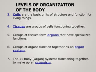 Introduction of Human Anatony and Physiology.pptx