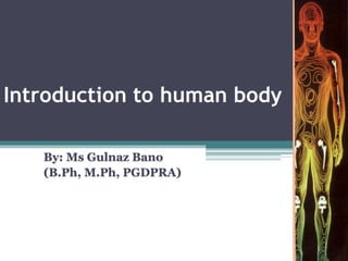 Introduction of Human Body.pptx