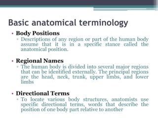 Introduction of Human Body.pptx