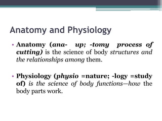 Introduction of Human Body.pptx