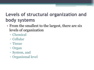 Introduction of Human Body.pptx
