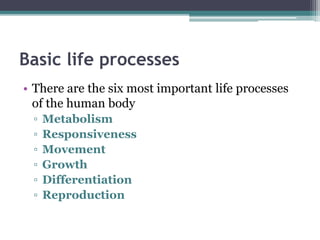 Introduction of Human Body.pptx