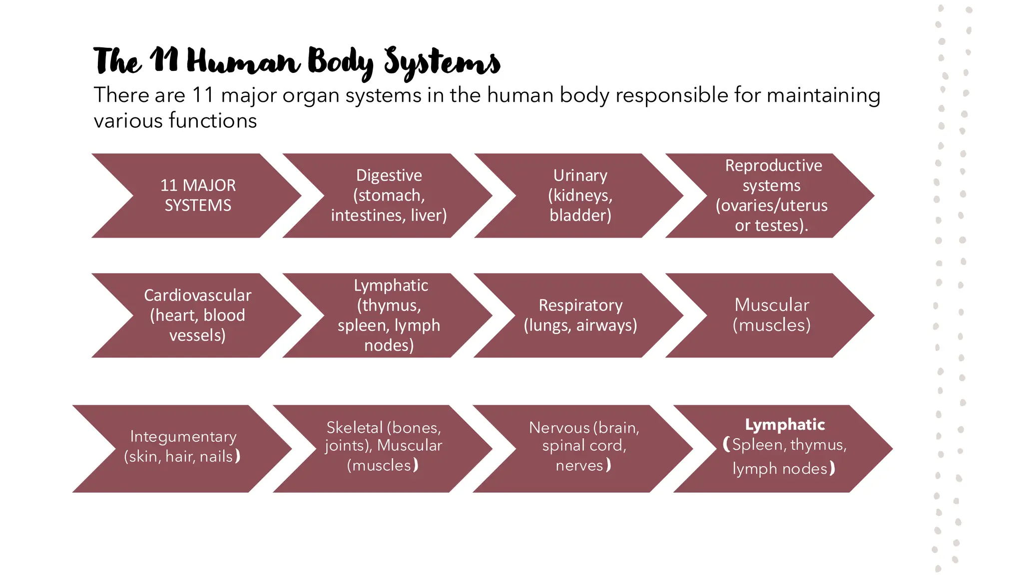 INTRODUCTION OF HUMAN BODY(LEVELS OF STRUCTURAL ORANGNISM).pdf
