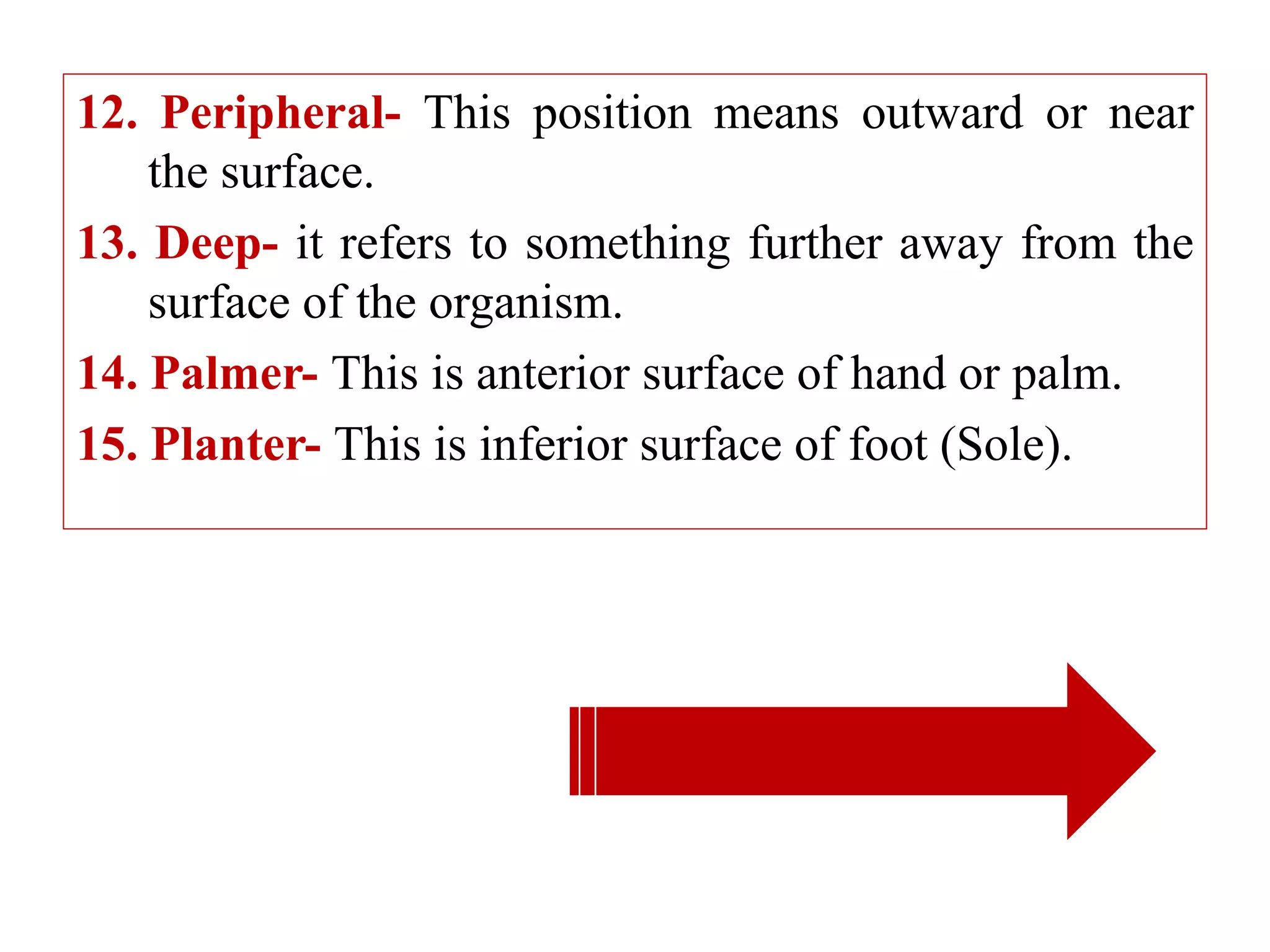 INTRODUCTION OF HUMAN BODY (ANATOMY & PHYSIOLOGY).pptx