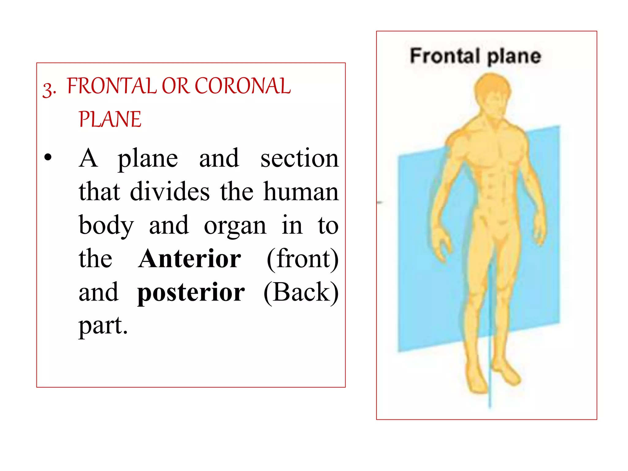 INTRODUCTION OF HUMAN BODY (ANATOMY & PHYSIOLOGY).pptx