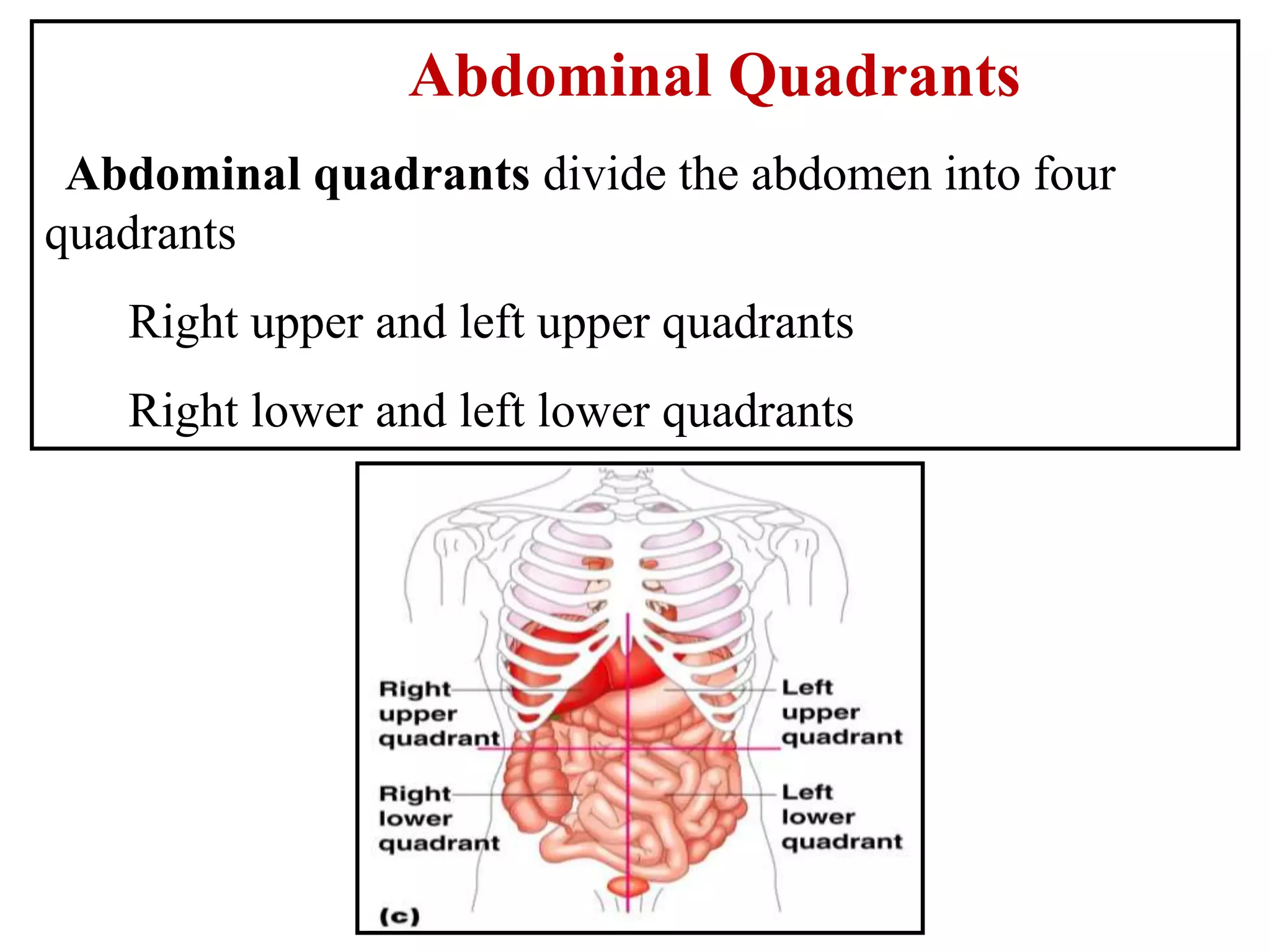 INTRODUCTION OF HUMAN BODY (ANATOMY & PHYSIOLOGY).pptx