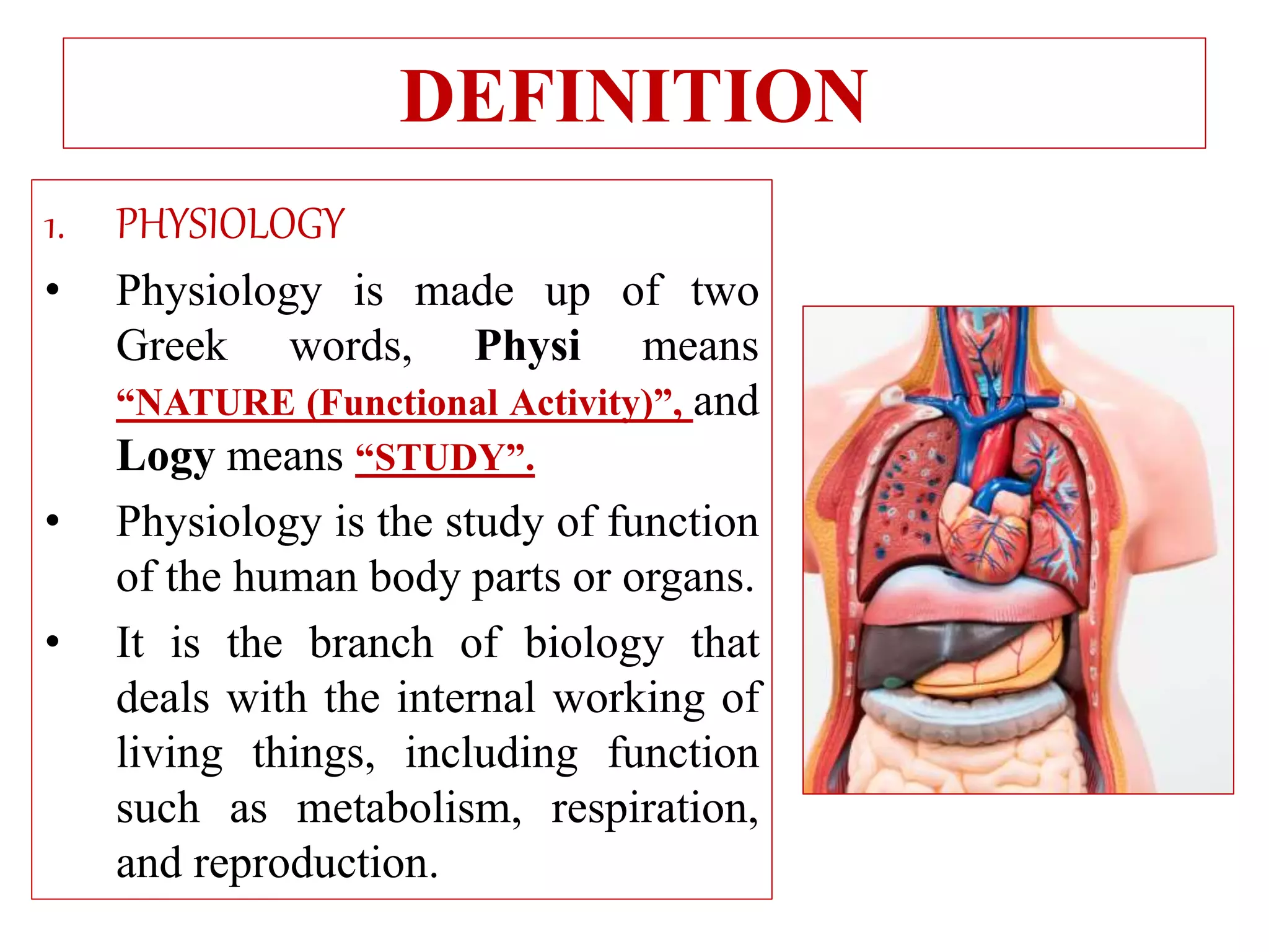 INTRODUCTION OF HUMAN BODY (ANATOMY & PHYSIOLOGY).pptx | Lung and ...