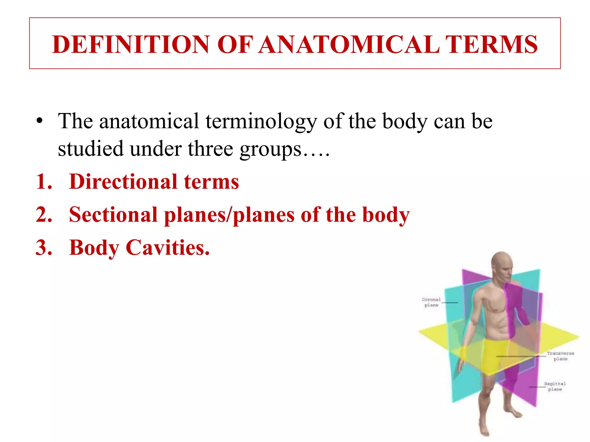 INTRODUCTION OF HUMAN BODY (ANATOMY & PHYSIOLOGY).pptx