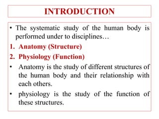INTRODUCTION OF HUMAN BODY (ANATOMY & PHYSIOLOGY).pptx | Lung and ...
