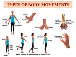 INTRODUCTION OF HUMAN BODY (ANATOMY & PHYSIOLOGY).pptx | Lung and ...