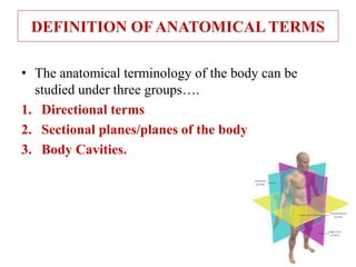 INTRODUCTION OF HUMAN BODY (ANATOMY & PHYSIOLOGY).pptx