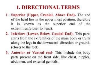 INTRODUCTION OF HUMAN BODY (ANATOMY & PHYSIOLOGY).pptx