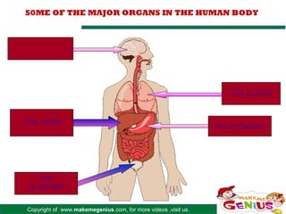 Introduction of human body kids | PPT