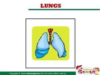 Introduction of human body kids | PPT