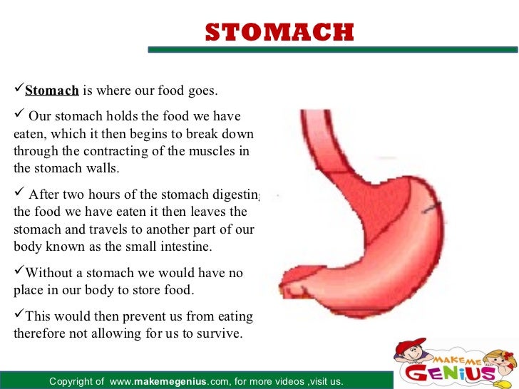 Introduction of human body kids