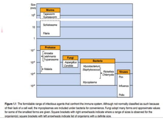Introduction and Types of immunology | PPTX