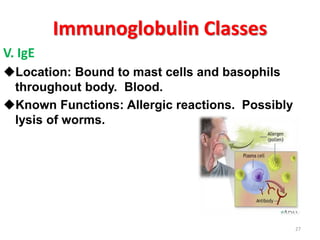 Introduction of immunology for bph class | PPT