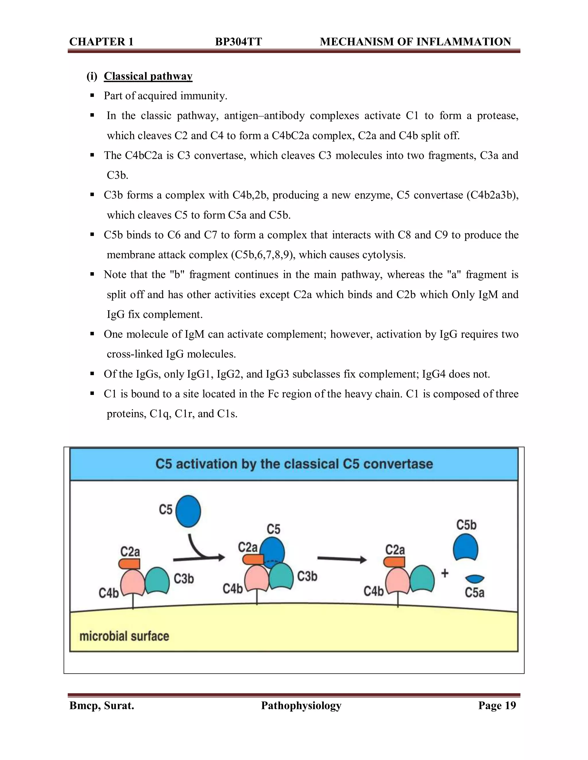 Introduction of inflammation | PDF