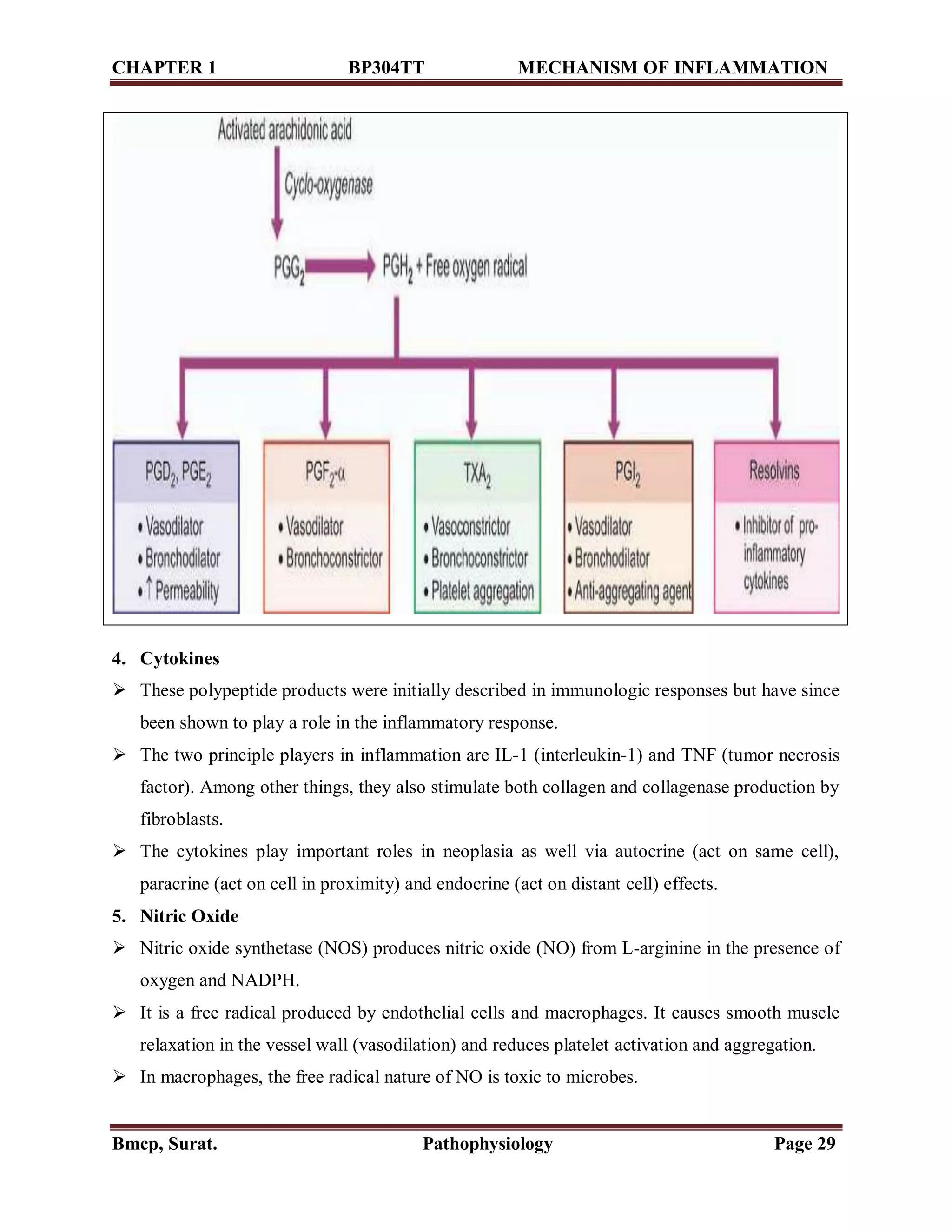 Introduction of inflammation | PDF