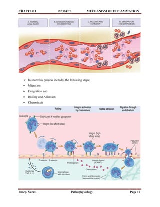 Introduction of inflammation | PDF