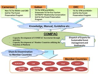 Introduction of JICA’s activities for the forestry sector in africa | PPT