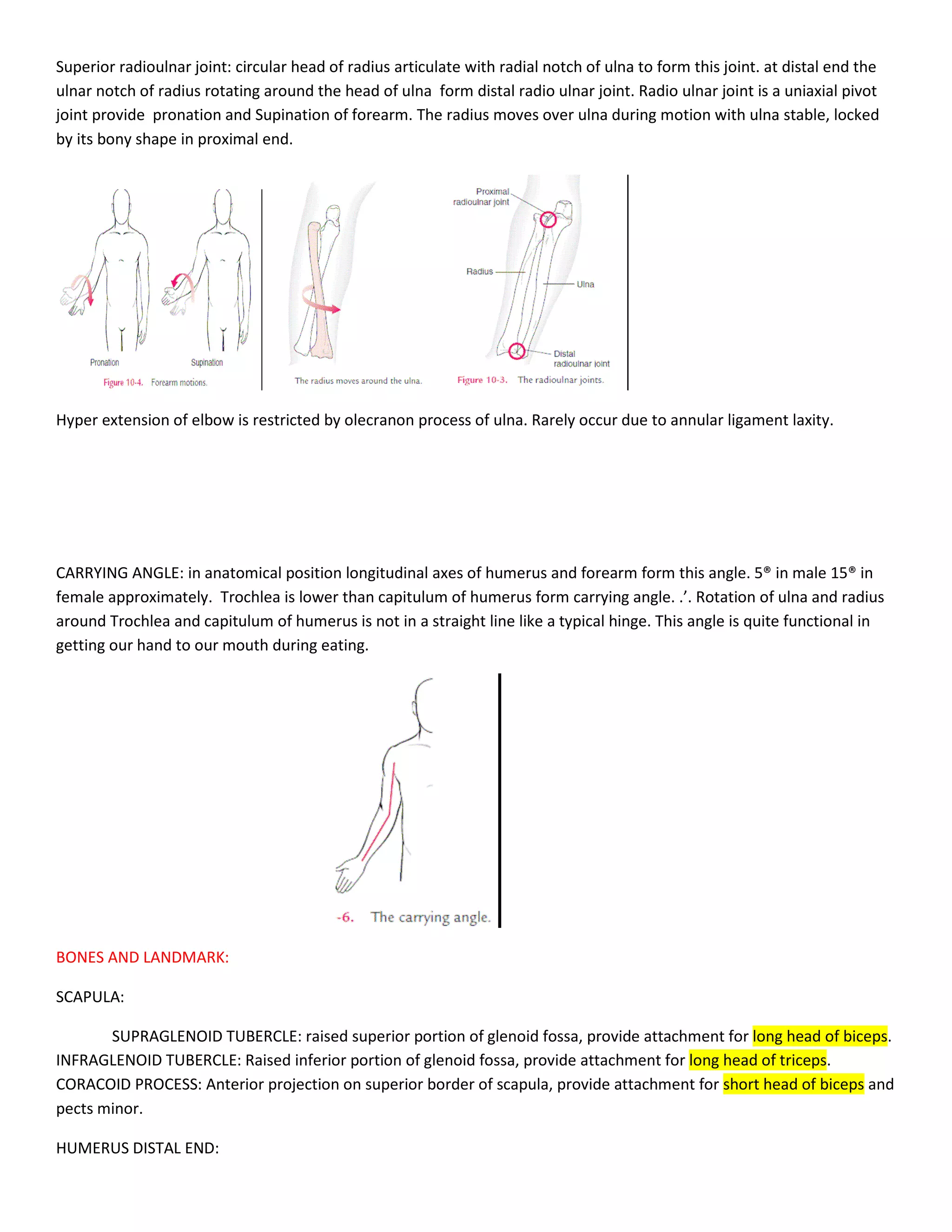 Introduction of kinesiology and upper limb anatomy | PDF