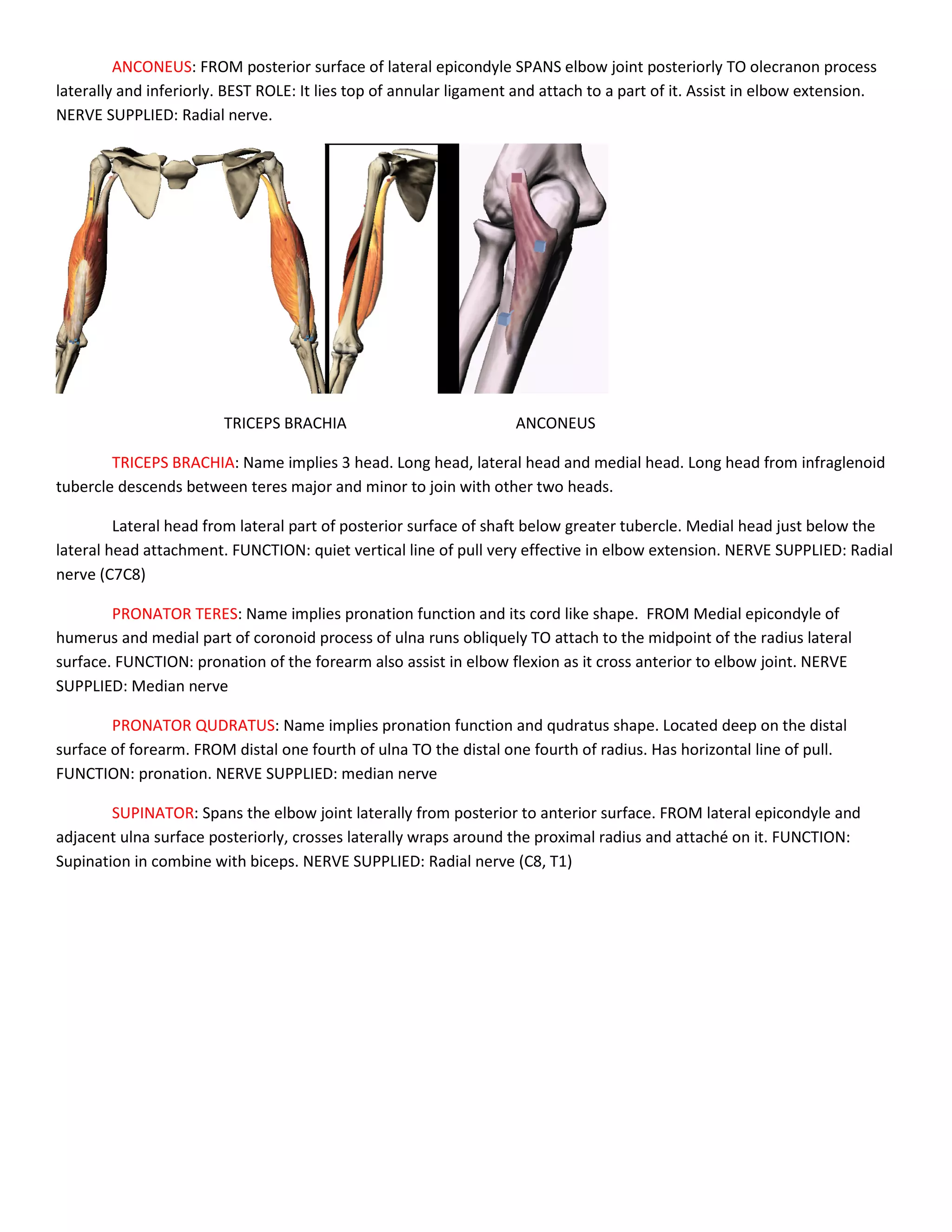 Introduction of kinesiology and upper limb anatomy | PDF