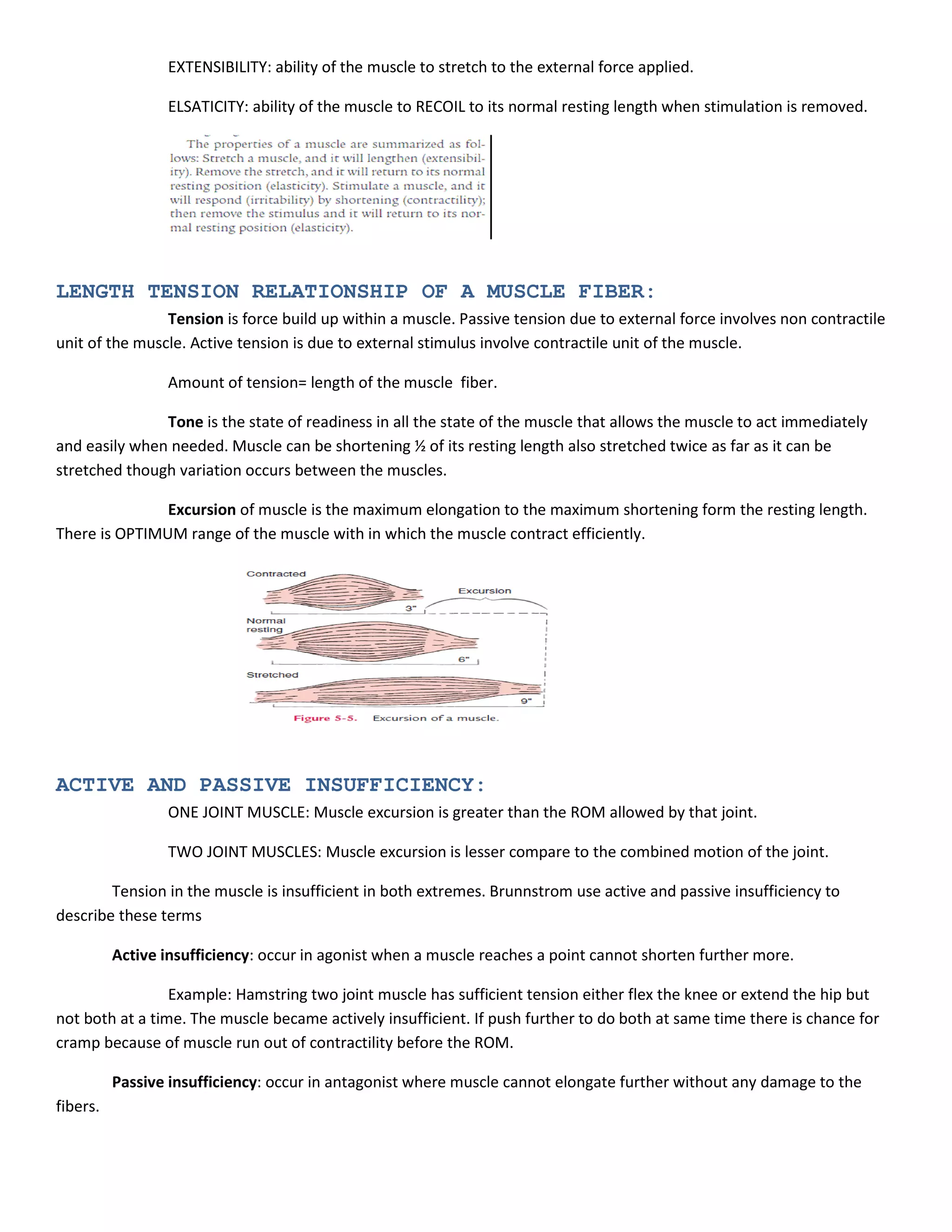 Introduction of kinesiology and upper limb anatomy | PDF