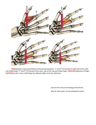 Introduction of kinesiology and upper limb anatomy | PDF