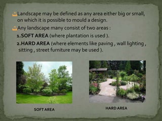 introduction of Landscape New (unit 1).pptx