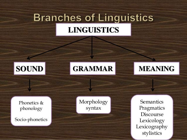 Introduction of linguistics