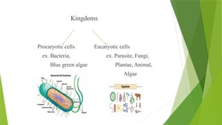 Microbiology is study of microorganism . | PPTX